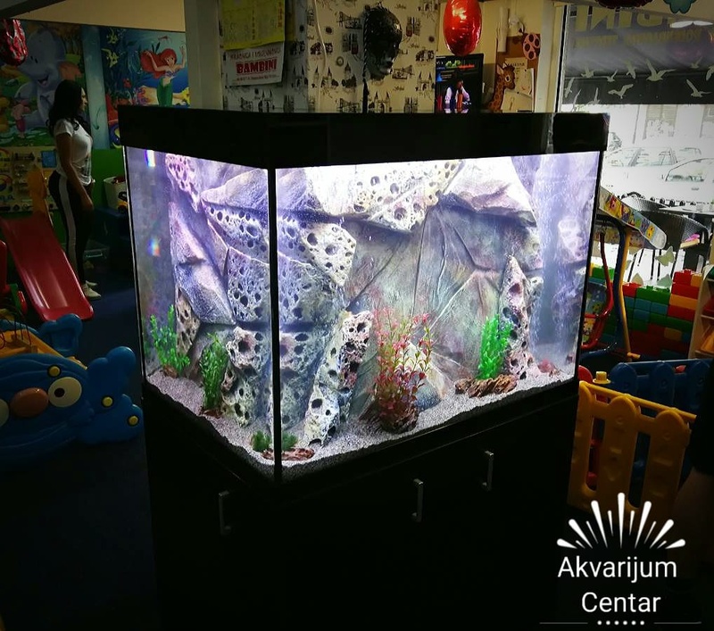 Izrada akvarijuma Beograd » akvarijumcentar.rs