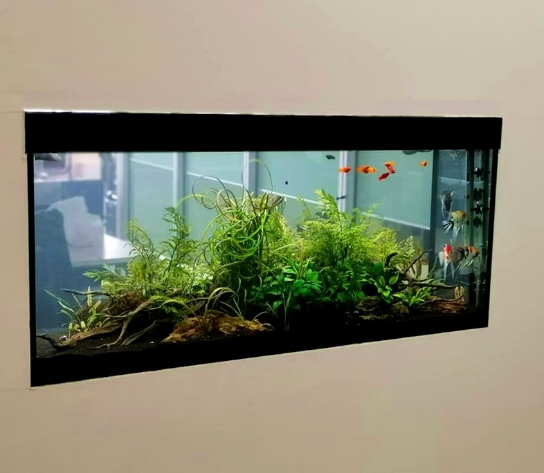 Slike akvarijuma - Akvarijum Centar » akvarijumcentar.rs