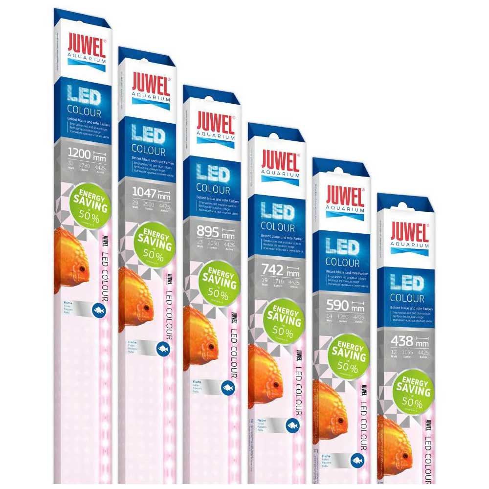 Juwel led colour rasveta » akvarijumcentar.rs